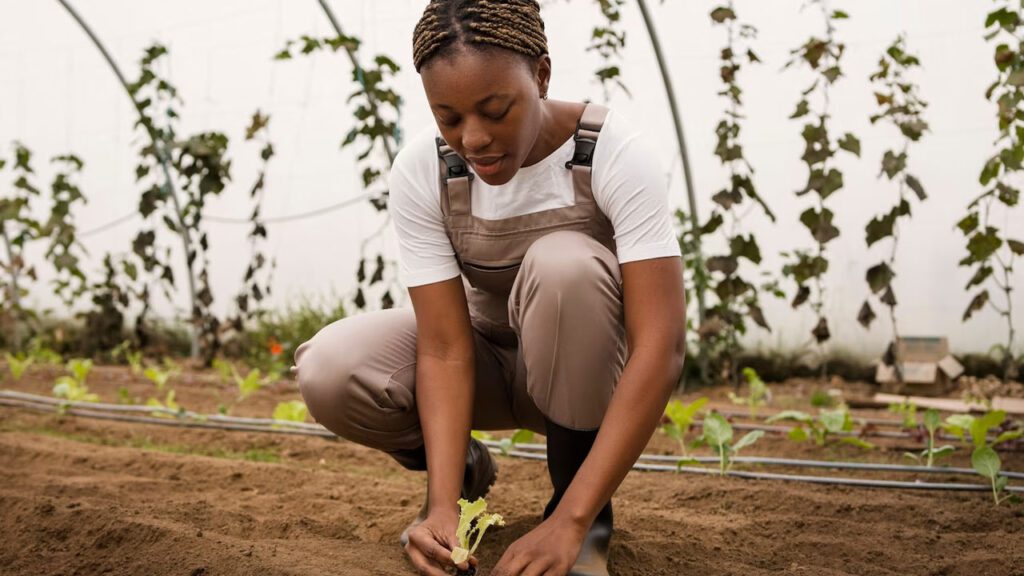 Farming for the Future: How Modern Farming Practices are Changing ...