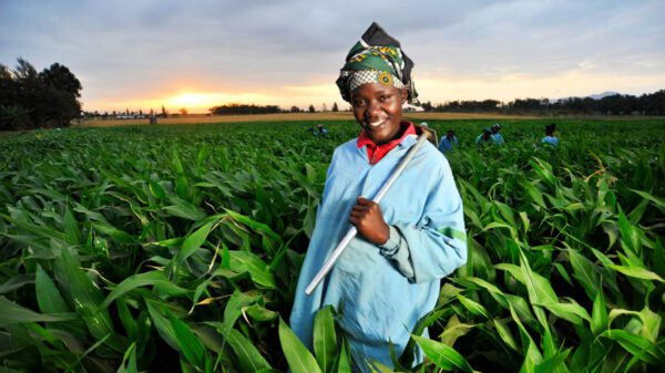 Maximizing Profits in Agriculture: The Importance of Value Addition for ...