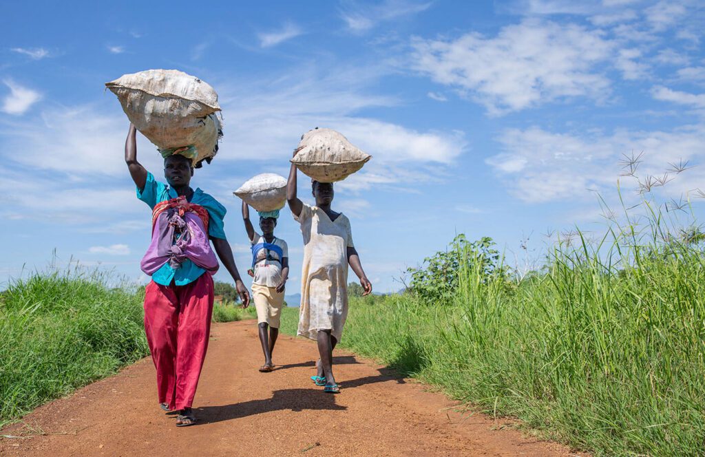 Small-Scale African Food Producers: Key Allies in Achieving Zero Hunger ...