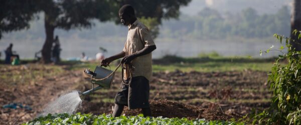 Small-Scale Irrigation: A Game-Changer for Agricultural Development in ...