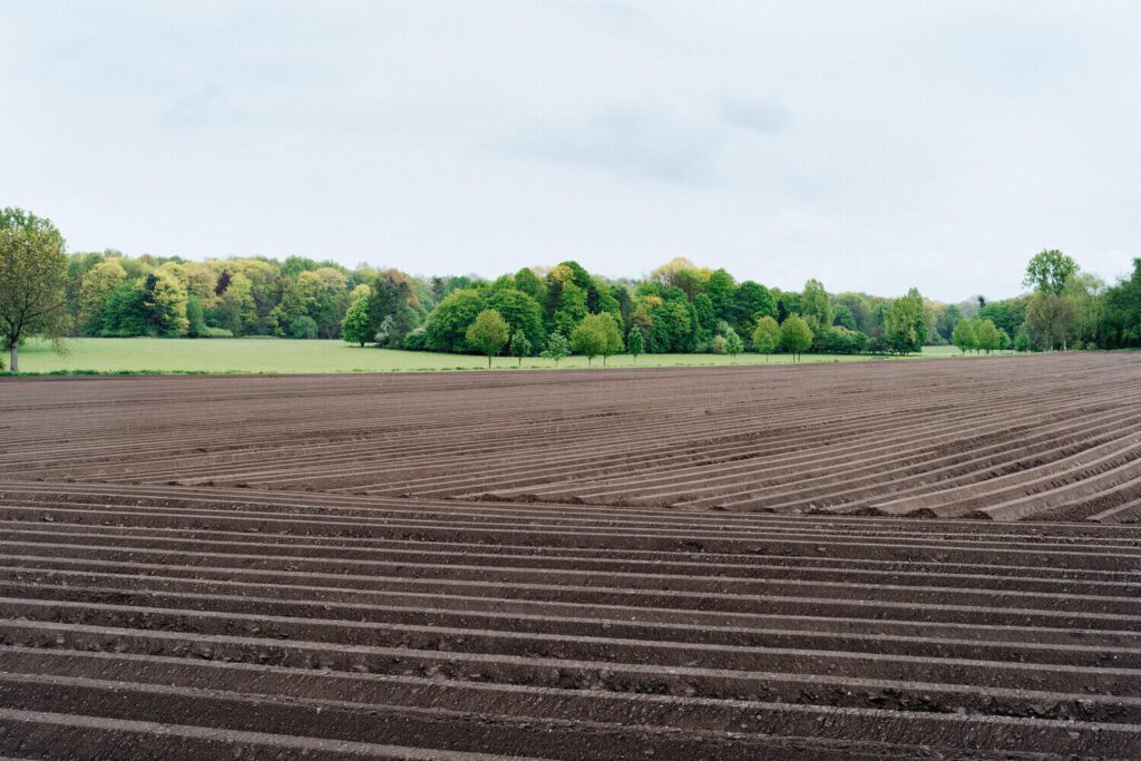 Exploring the Benefits of Minimum Tillage: Improving Soil Health and ...