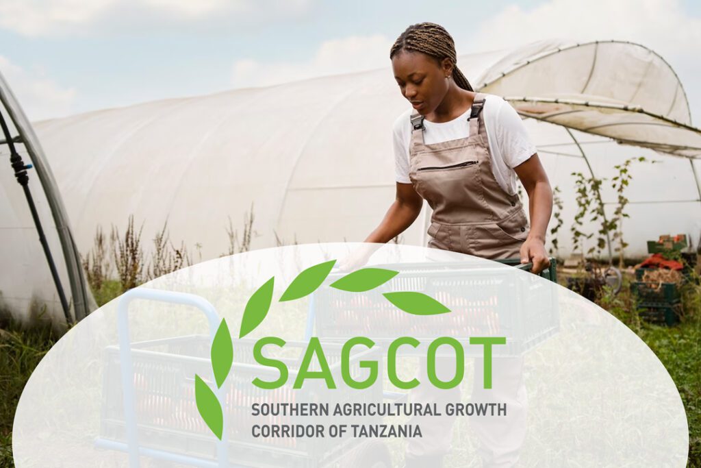 Unlocking Africa's Full Agricultural Potential: A Guide for African ...