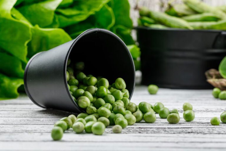 Comprehensive Step-by-Step Guide: Successful Pea Production from ...