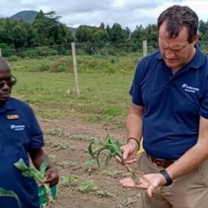 Golden Harvest: A Comprehensive Guide to Butternut Farming in Africa ...