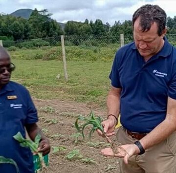 Golden Harvest: A Comprehensive Guide to Butternut Farming in Africa ...