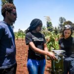 Kelp Blue: Transforming Namibia's Aquaculture with Sustainable Kelp ...