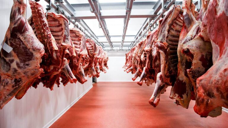 Rundu Abattoir to Revive Northern Slaughter: Boosting Namibia's Meat ...