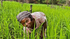 Empowering Smallholder Farmers: Overcoming Agricultural Challenges in ...