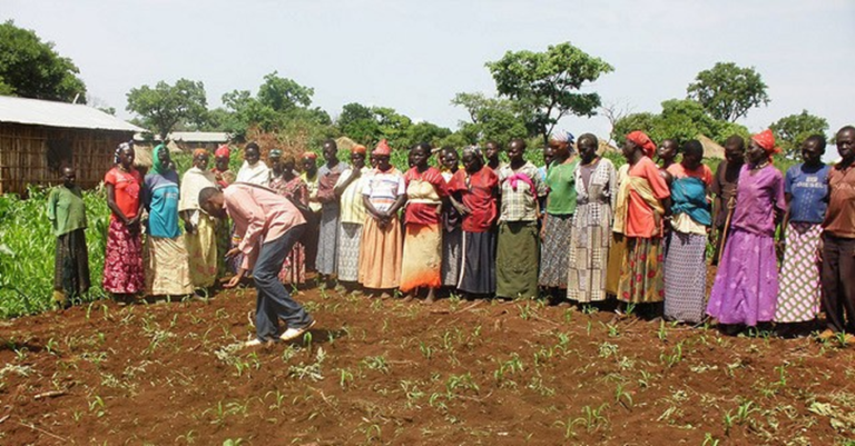 Empowering Smallholder Farmers: Overcoming Agricultural Challenges in ...