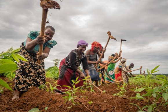Empowering Smallholder Farmers: Overcoming Agricultural Challenges in ...