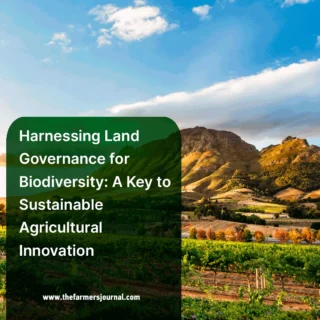 Golden Harvest: A Comprehensive Guide to Butternut Farming in Africa ...