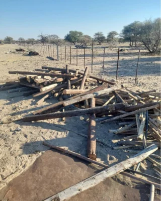 Golden Harvest: A Comprehensive Guide to Butternut Farming in Africa ...